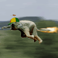 Pedo GIFs - Get the best gif on GIFER