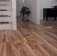 Slips GIFs - Get the best gif on GIFER