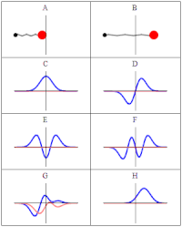 Me at the function GIFs - Get the best gif on GIFER