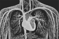 Heartbeat GIFs - Get the best gif on GIFER