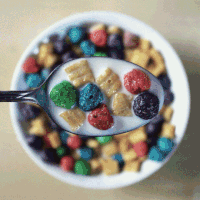 Variety GIFs - Get the best gif on GIFER