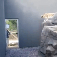 Descending GIFs - Get the best gif on GIFER