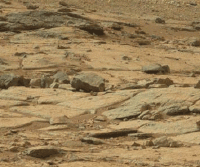 Curiosity GIFs - Get the best gif on GIFER