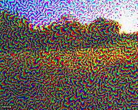 Halftone GIFs - Get the best gif on GIFER