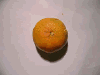 Orange GIFs - Get the best gif on GIFER