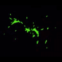 Repossessed GIFs - Get the best gif on GIFER