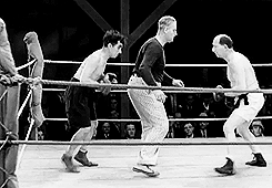 1889 GIFs - Get the best gif on GIFER