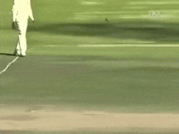 Presence GIFs - Get the best gif on GIFER