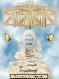 Memories GIFs - Get the best gif on GIFER