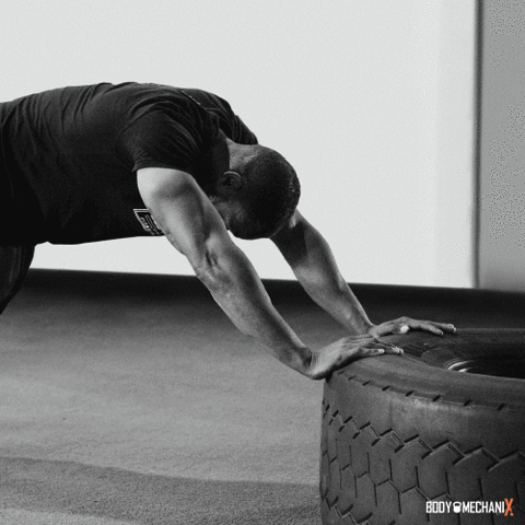 Treinamento GIF - Conseguir o melhor gif em GIFER