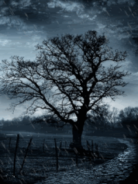 Rainy GIFs - Get the best gif on GIFER