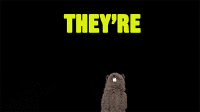 Grammar GIFs - Get the best gif on GIFER