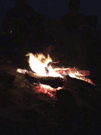 Bonfire GIFs - Get the best gif on GIFER