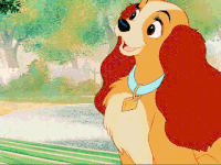 Tramp GIFs - Get the best gif on GIFER