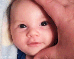 In the cut GIF - Conseguir o melhor gif em GIFER