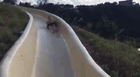 Toboggan GIFs - Get the best gif on GIFER