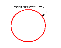 Dynamo GIFs - Get the best gif on GIFER