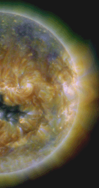 2010 GIFs - Get the best gif on GIFER