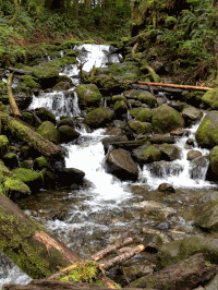 Hiking GIFs - Get the best gif on GIFER