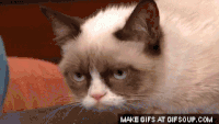 Overweight GIFs - Get the best gif on GIFER