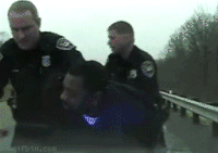 Collard GIFs - Get the best gif on GIFER