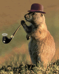 Pipes GIFs - Obtenez le meilleur gif sur GIFER