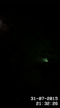 Timestamp GIFs - Get the best gif on GIFER