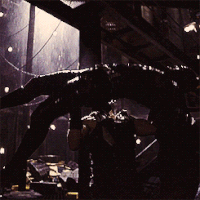 Knightfall GIFs - Get the best gif on GIFER