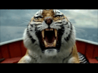 Abacus GIFs - Get the best gif on GIFER