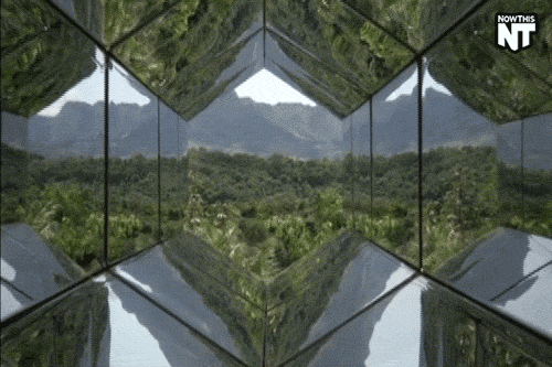 Landscaping GIF - Conseguir el mejor gif en GIFER