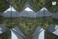 Lobbying GIFs - Get the best gif on GIFER