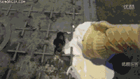 Manhole GIFs - Get the best gif on GIFER