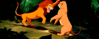 Nala GIFs - Get the best gif on GIFER