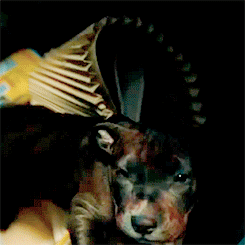 Bob saginowski GIF - Conseguir el mejor gif en GIFER