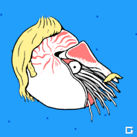 Nautilus GIF - Conseguir o melhor gif em GIFER