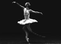 5am GIFs - Get the best gif on GIFER