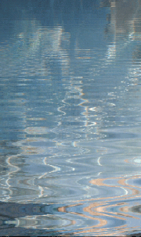 Sea GIFs - Get the best gif on GIFER