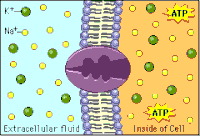 Atp GIFs - Get the best gif on GIFER