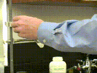 Potassium GIFs - Get the best gif on GIFER