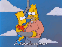 Harness GIFs - Get the best gif on GIFER