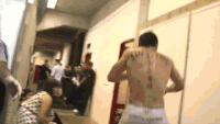 Smashed GIFs - Get the best gif on GIFER
