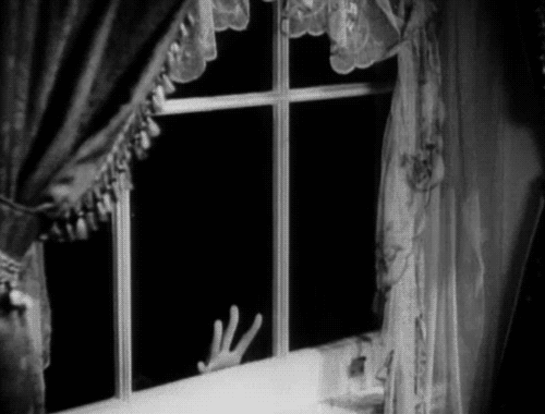 Candace bushnell GIF - Conseguir o melhor gif em GIFER