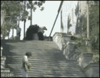 Vibrator GIFs - Get the best gif on GIFER