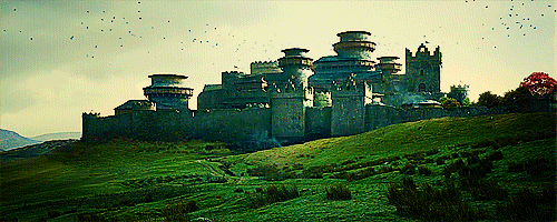 Racha de rir GIF - Conseguir o melhor gif em GIFER