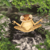 Proceso GIFs - Get the best gif on GIFER