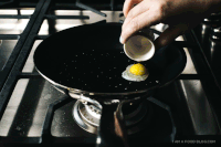 Quail GIFs - Get the best gif on GIFER