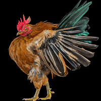 Complete GIFs - Get the best gif on GIFER