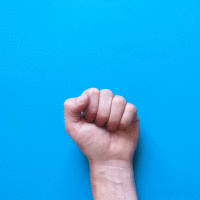 Reset GIFs - Get the best gif on GIFER