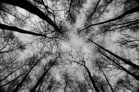 Gothic GIFs - Get the best gif on GIFER