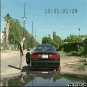 Nutshot GIFs - Get the best gif on GIFER